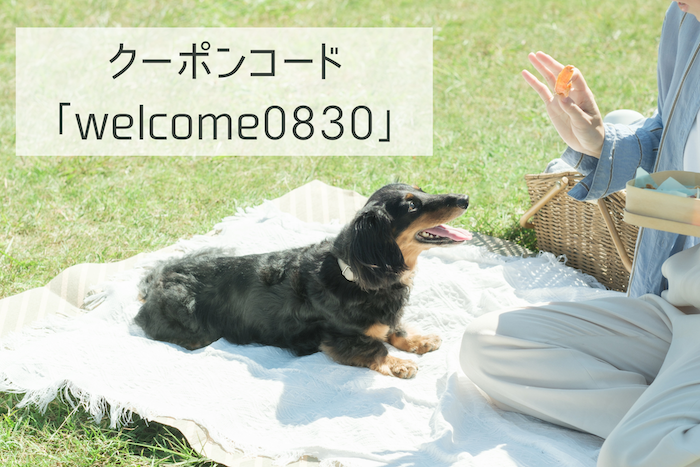 \\ 全商品5%OFF // online shopリニューアルキャンペーン開催中！ – one's daily